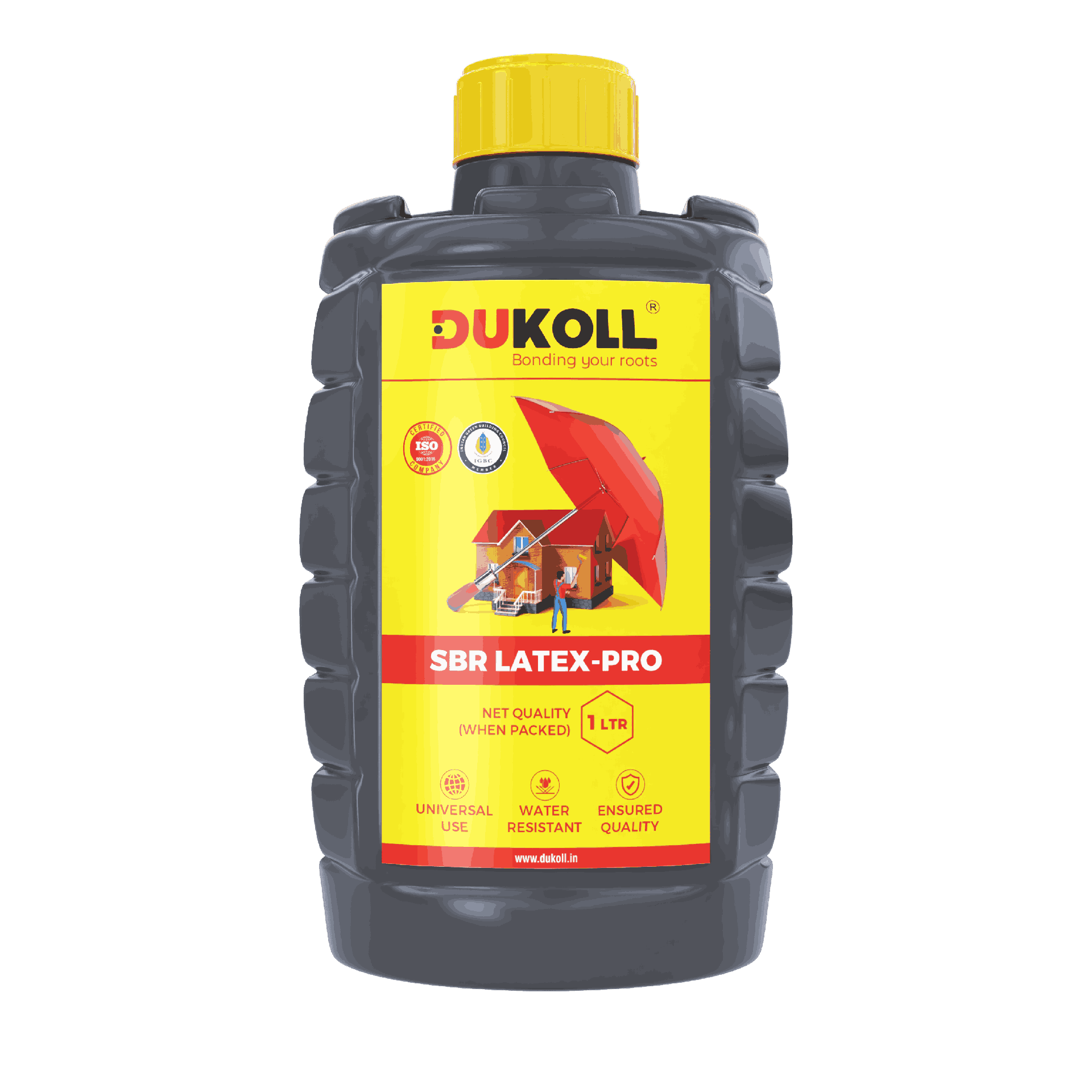 SBR LATEX PRO | Dukoll